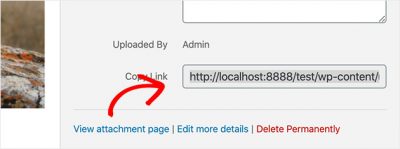 How to Resize and Edit Images in WordPress (The Right Way)