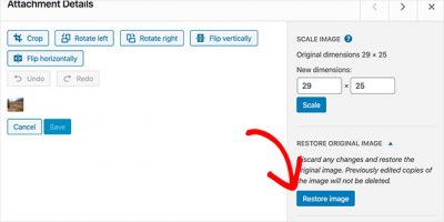 How to Resize and Edit Images in WordPress (The Right Way)