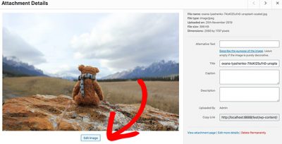 How to Resize and Edit Images in WordPress (The Right Way)