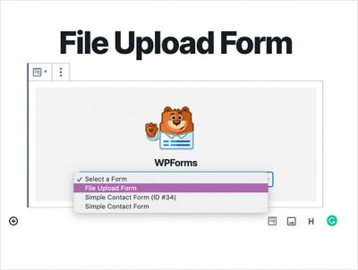 How To Create A WordPress Form With File Upload
