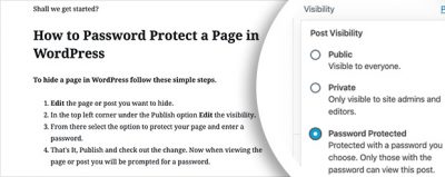 How to Password Protect Single Pages in WordPress (Step by Step)