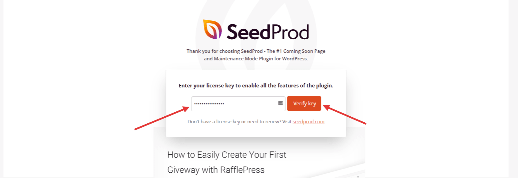 Installing and activating the Pro Plugin - SeedProd