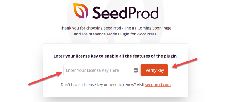Installing and Activating the Pro Plugin - SeedProd