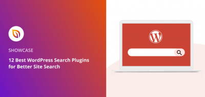 7 Best WordPress Search Plugins for Better Site Search