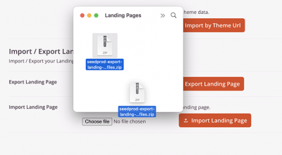 How to Export a WordPress Theme (+ Import to Another Site)