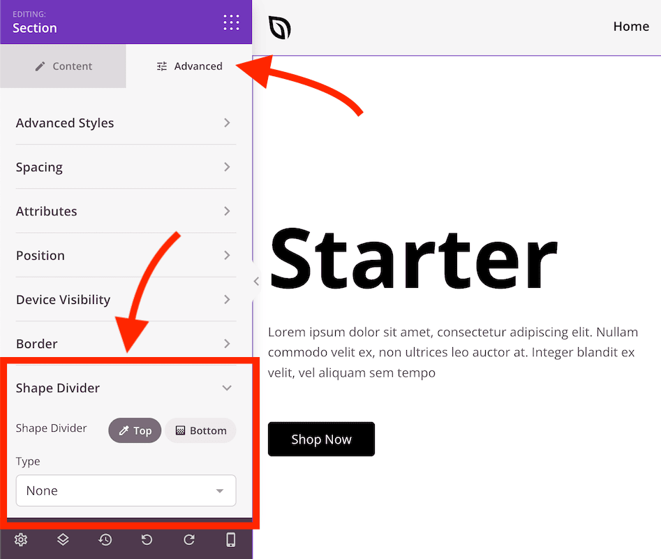 Shape Dividers - SeedProd