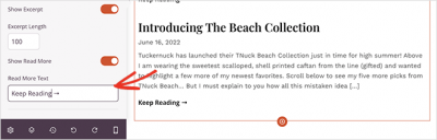 How to Customize Your WordPress Post Excerpt (Without Code)