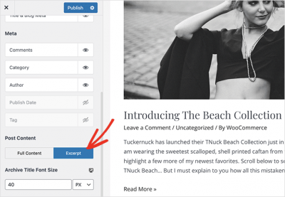 How to Fix WordPress Post Excerpt Not Showing for Your Site