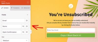 8 Effective Email Unsubscribe Page Examples + Easy Tutorial