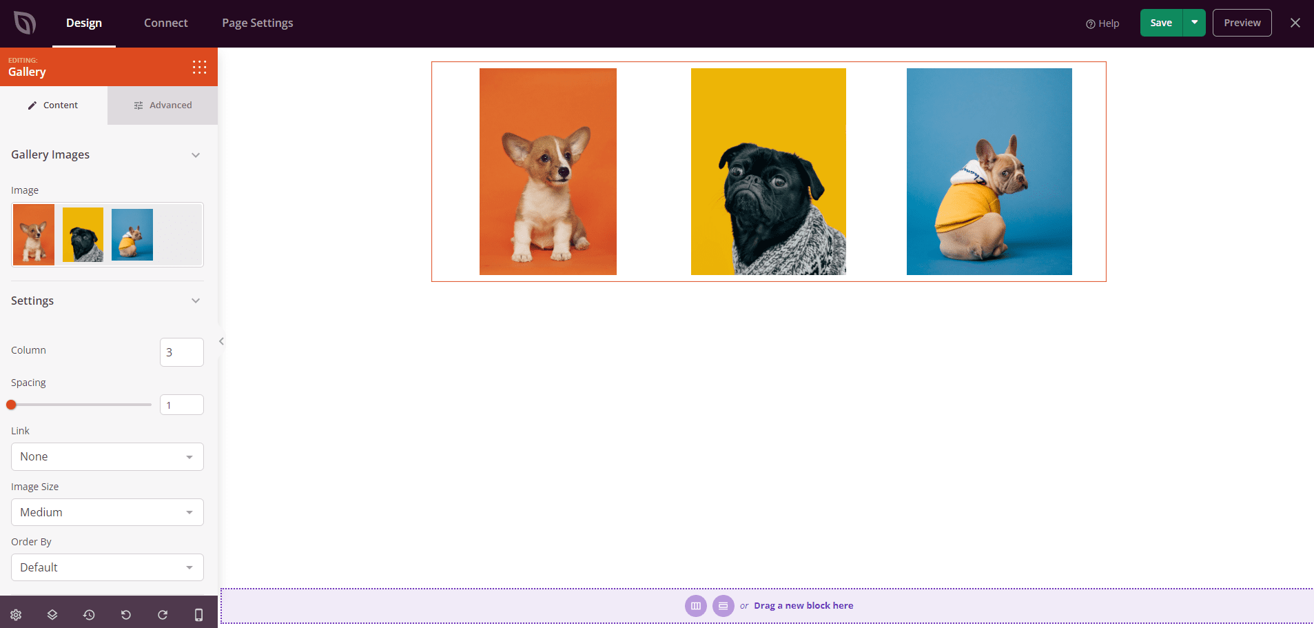 Gallery Block - SeedProd