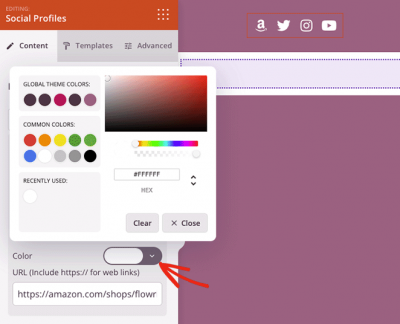 How to Add Custom WordPress Social Media Icons to Your Site