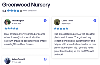 8 Best WordPress Review Plugins for Google, Yelp & More