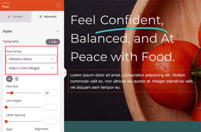 How to Change Fonts in WordPress Themes (5 Solutions)