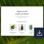 Responsive WordPress Thank You Page Templates + Examples