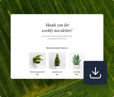 Responsive WordPress Thank You Page Templates + Examples
