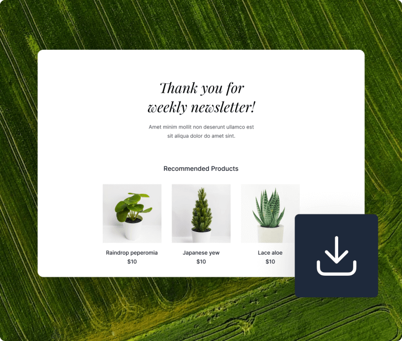 Responsive WordPress Thank You Page Templates + Examples