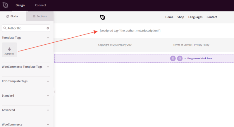 How to Create an Author Template in SeedProd - SeedProd