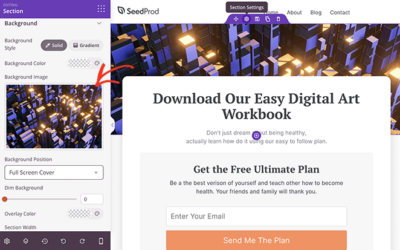 How to Create a Custom Page in WordPress (Step-by-Step)