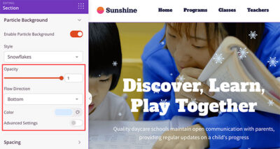 How to Add Snow Effect in WordPress (Without Coding)