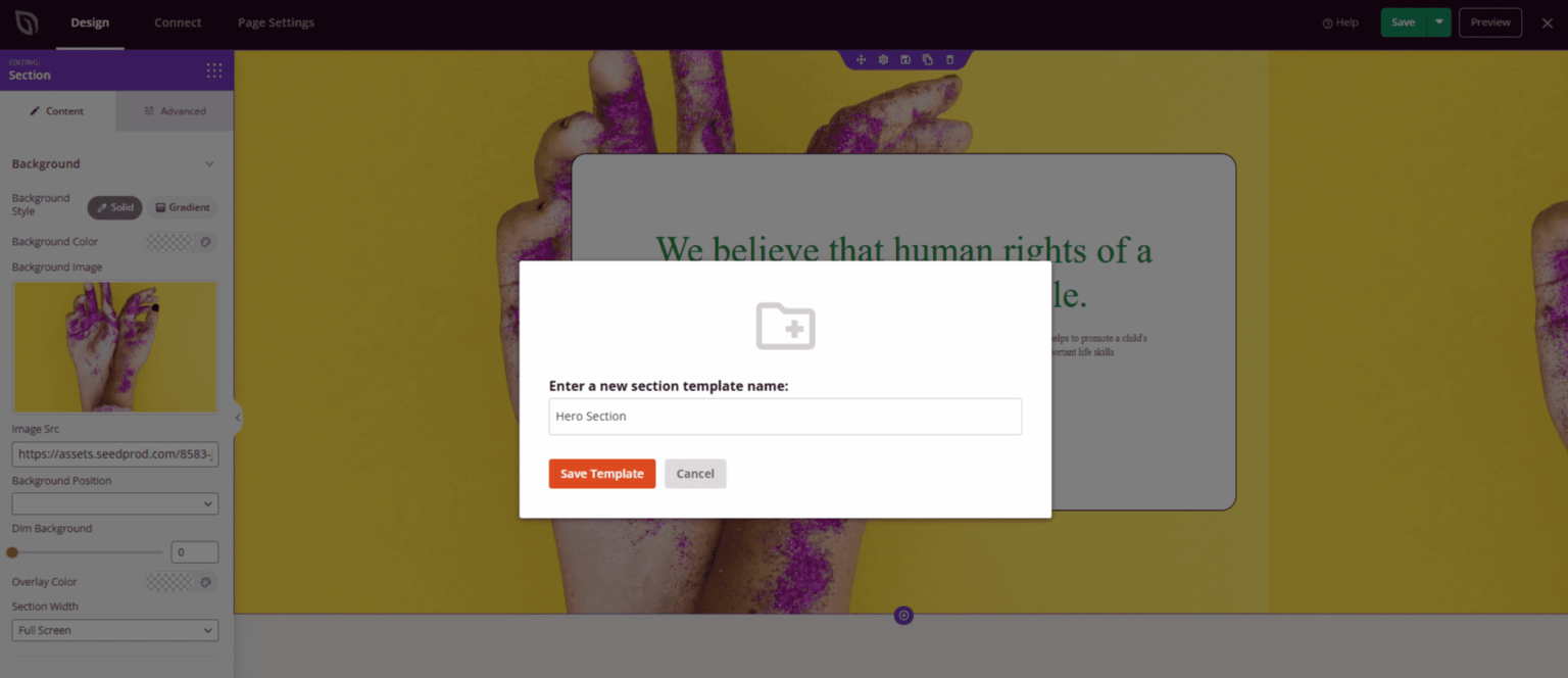 Creating Reusable Sections For Faster Page Building Seedprod