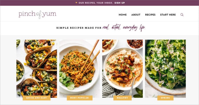 13 WordPress Website Examples by Category (2026) - SeedProd